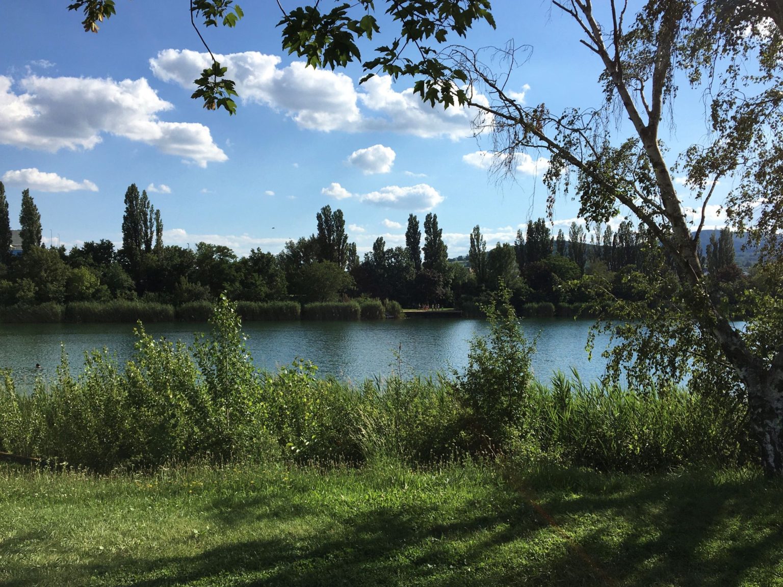 Gemeindeteich / Kahrteich – Wiener Neudorf